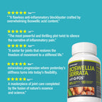 high potency Boswellic acid supplement