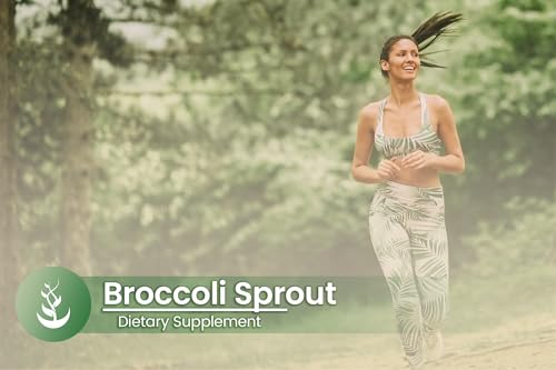 high potency broccoli extract benefits