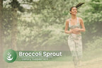 high potency broccoli extract benefits