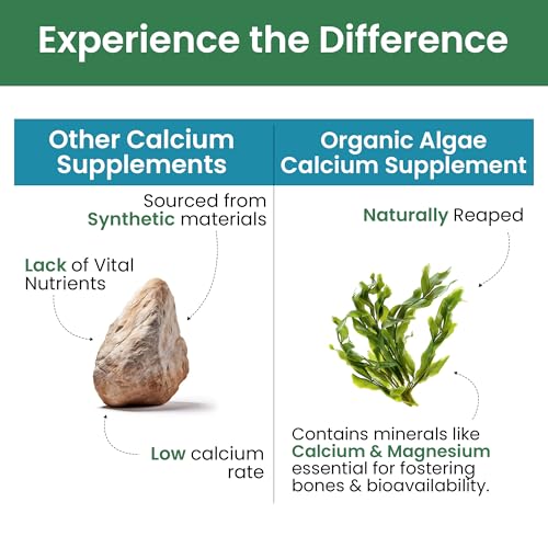 high potency calcium supplement for wellness