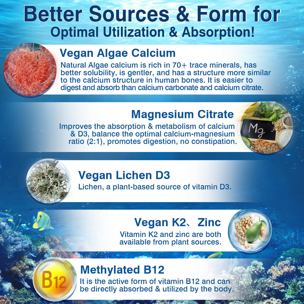 high potency calcium with vitamin B12