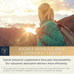 High potency Cat's Claw extract
