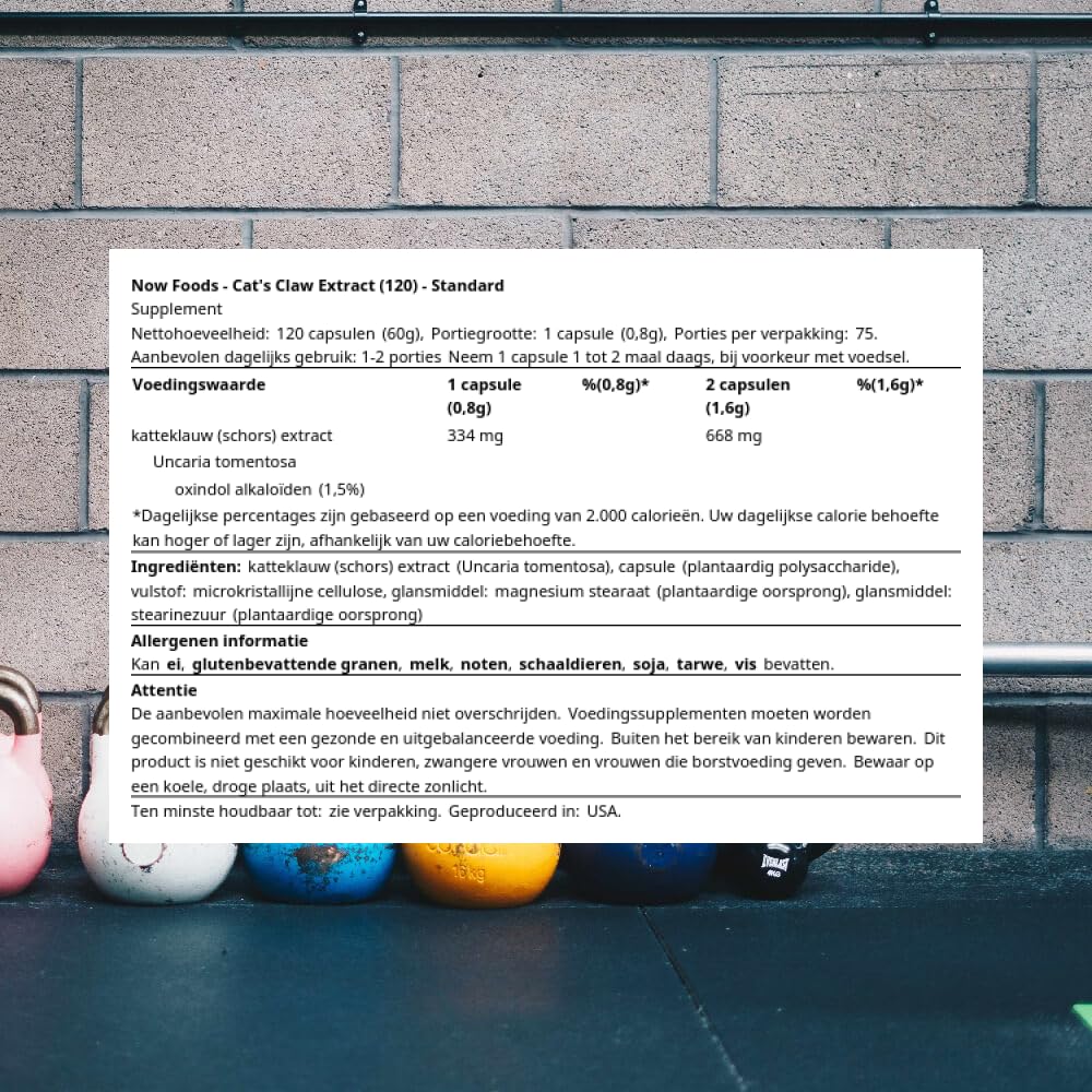 High potency Cat's Claw supplement