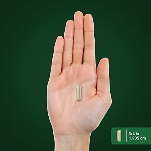 high potency celery seed extract formula