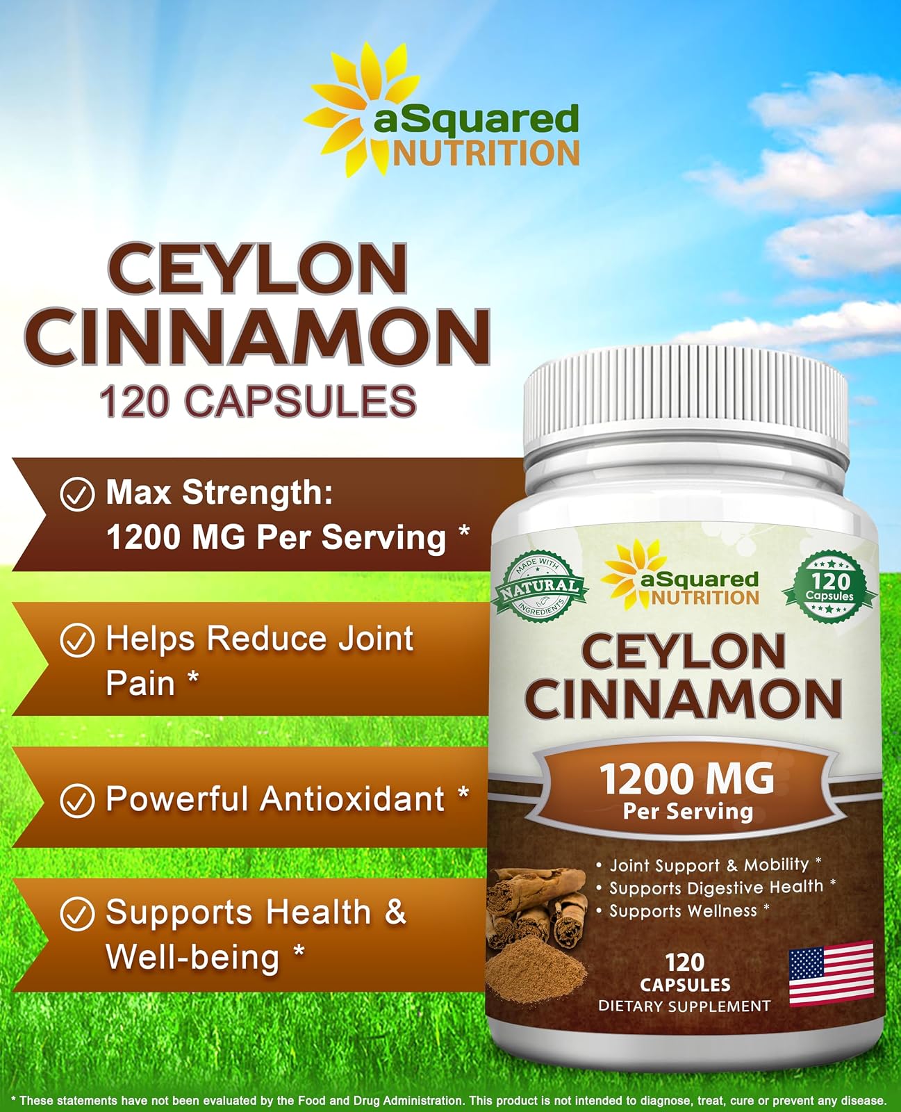 high potency ceylon cinnamon 1200 mg