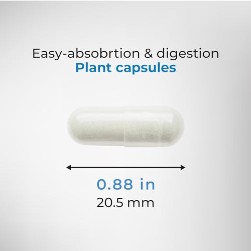 high potency ceylon cinnamon extract