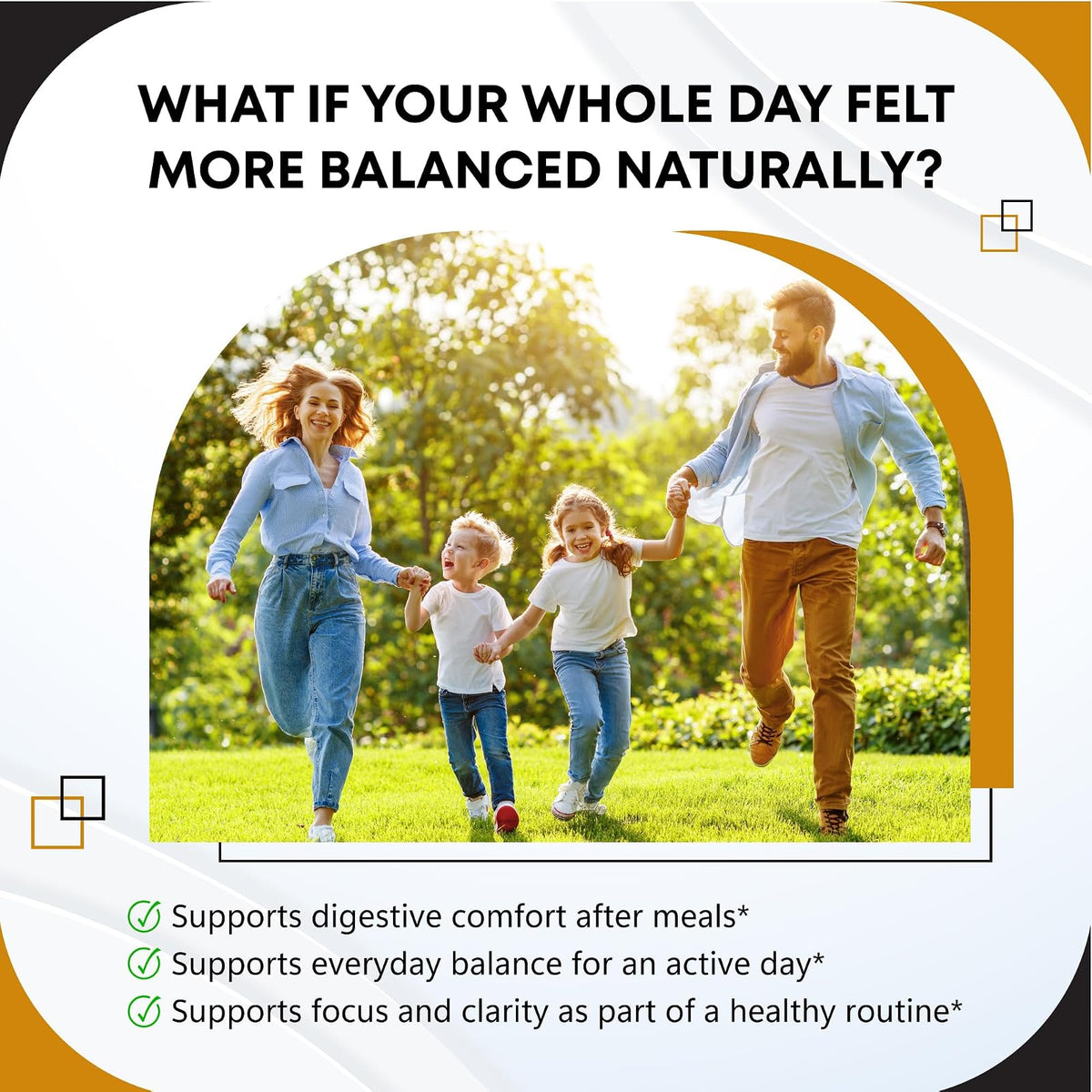 High potency Ceylon cinnamon extract
