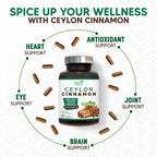High potency Ceylon cinnamon extract