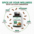 High potency Ceylon cinnamon extract