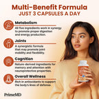 High potency Ceylon cinnamon supplement