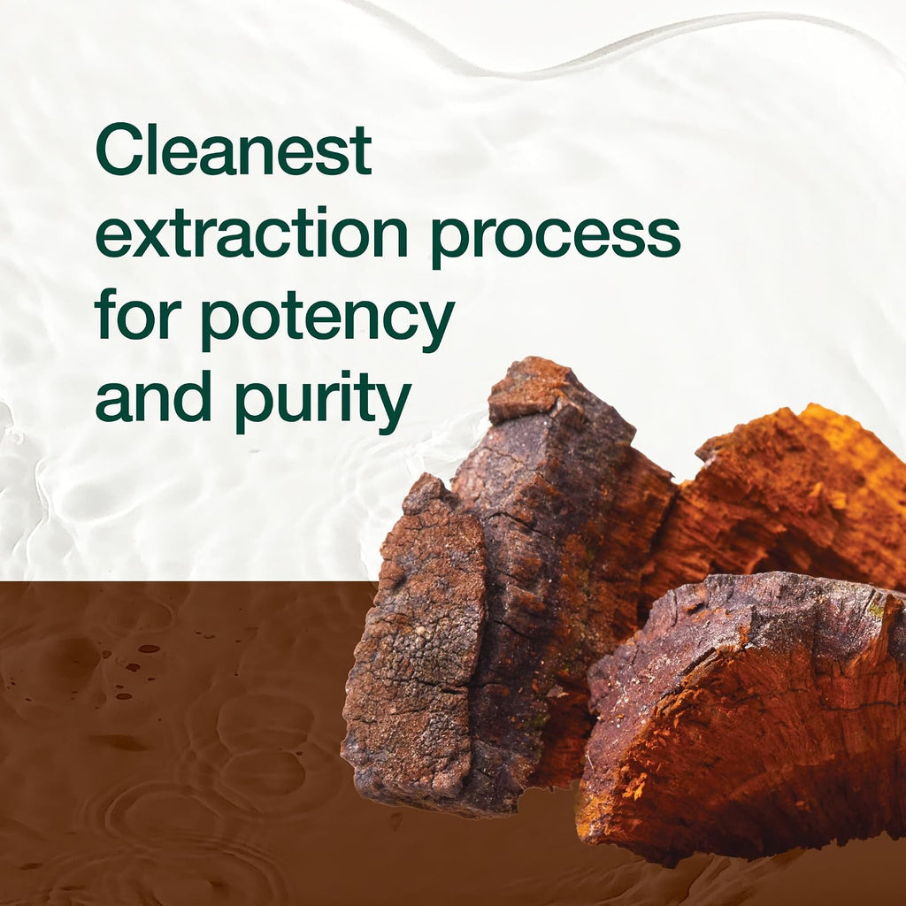 high potency chaga extract capsules