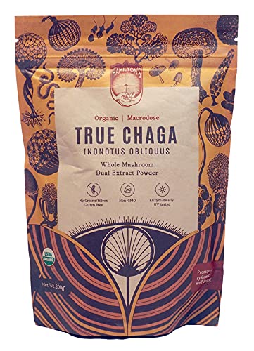high potency chaga for immune support