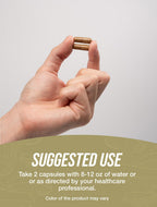 high potency chaga mushroom capsules