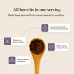 high potency chaga mushroom for vitality