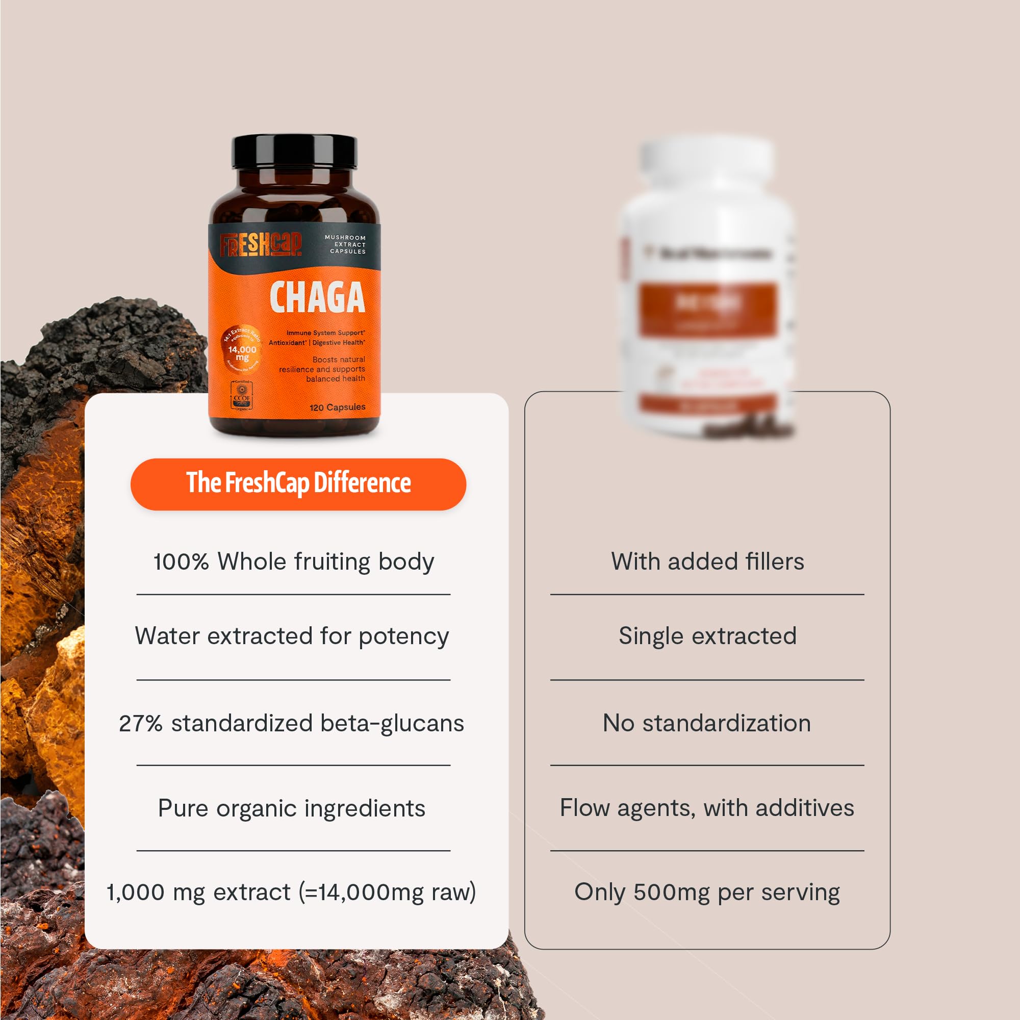 high potency chaga mushroom supplement