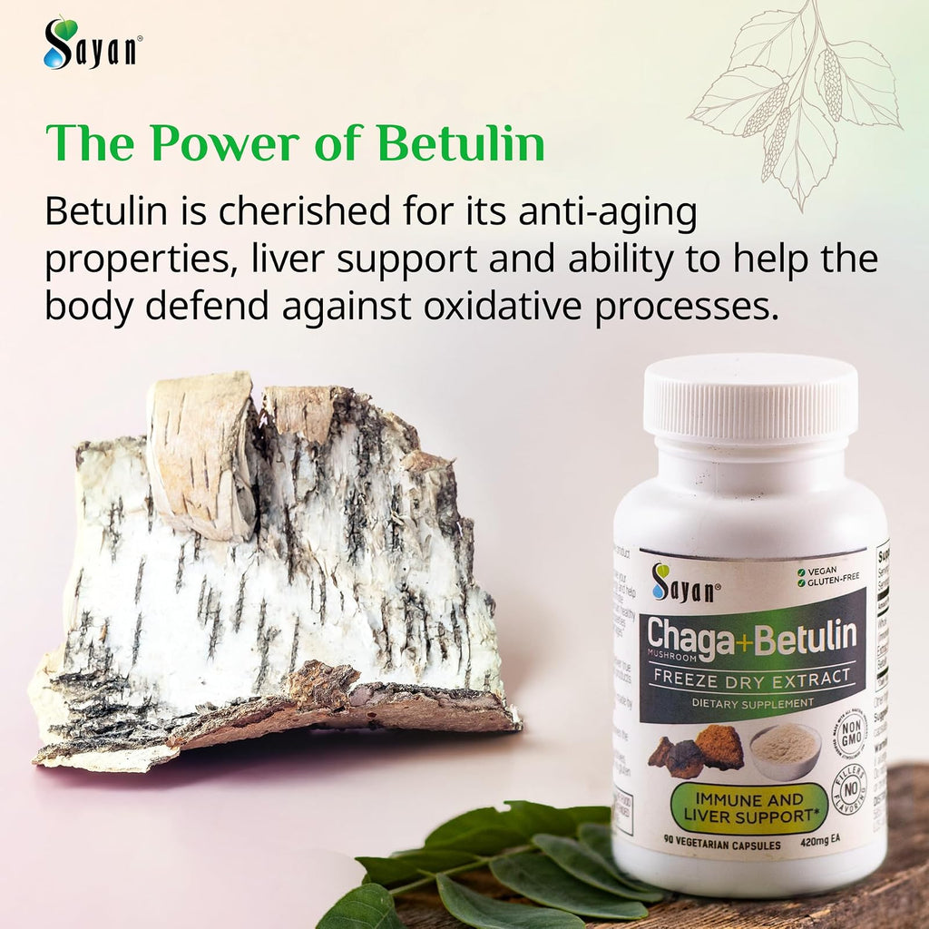 High potency chaga mushroom supplement