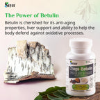 High potency chaga mushroom supplement