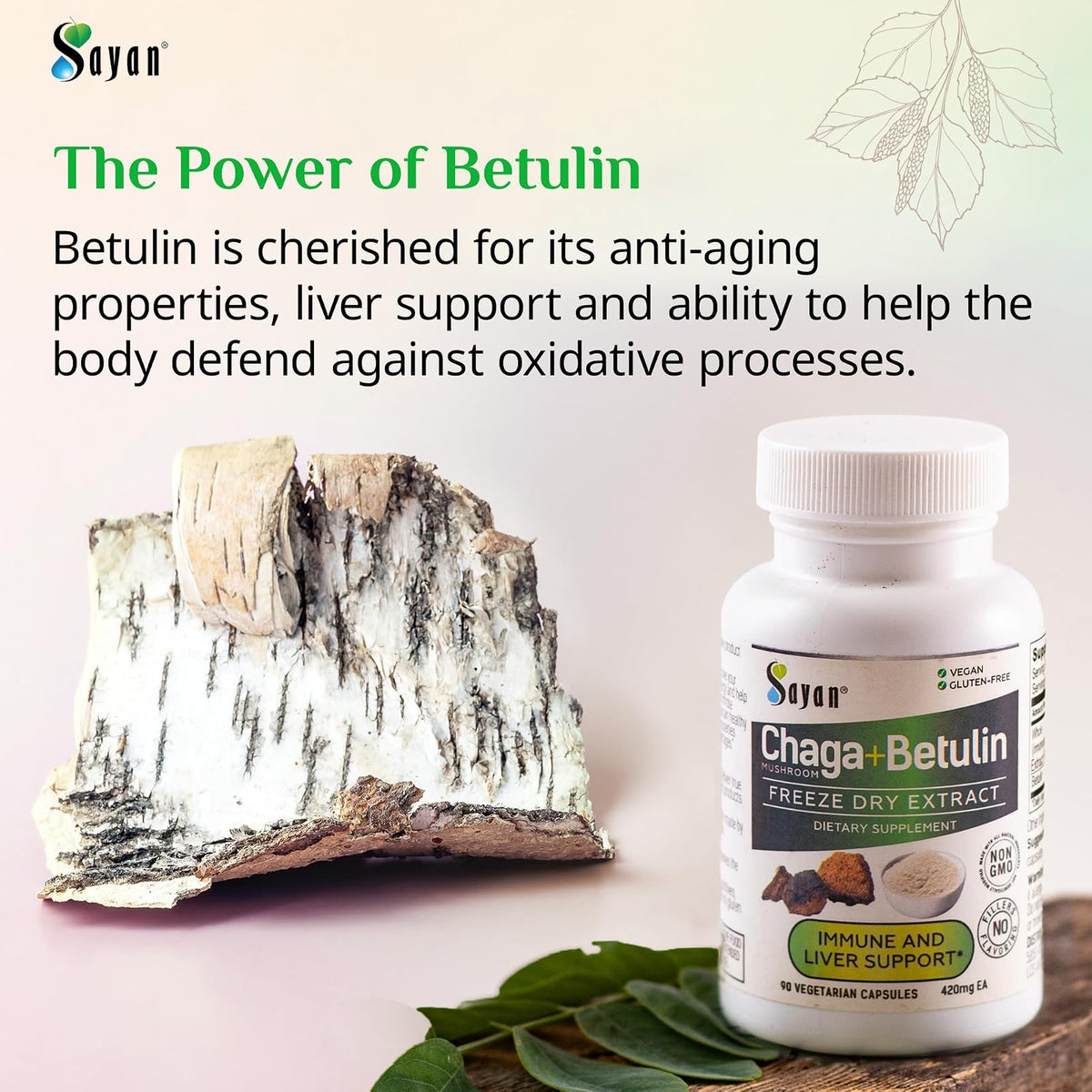 High potency chaga mushroom supplement