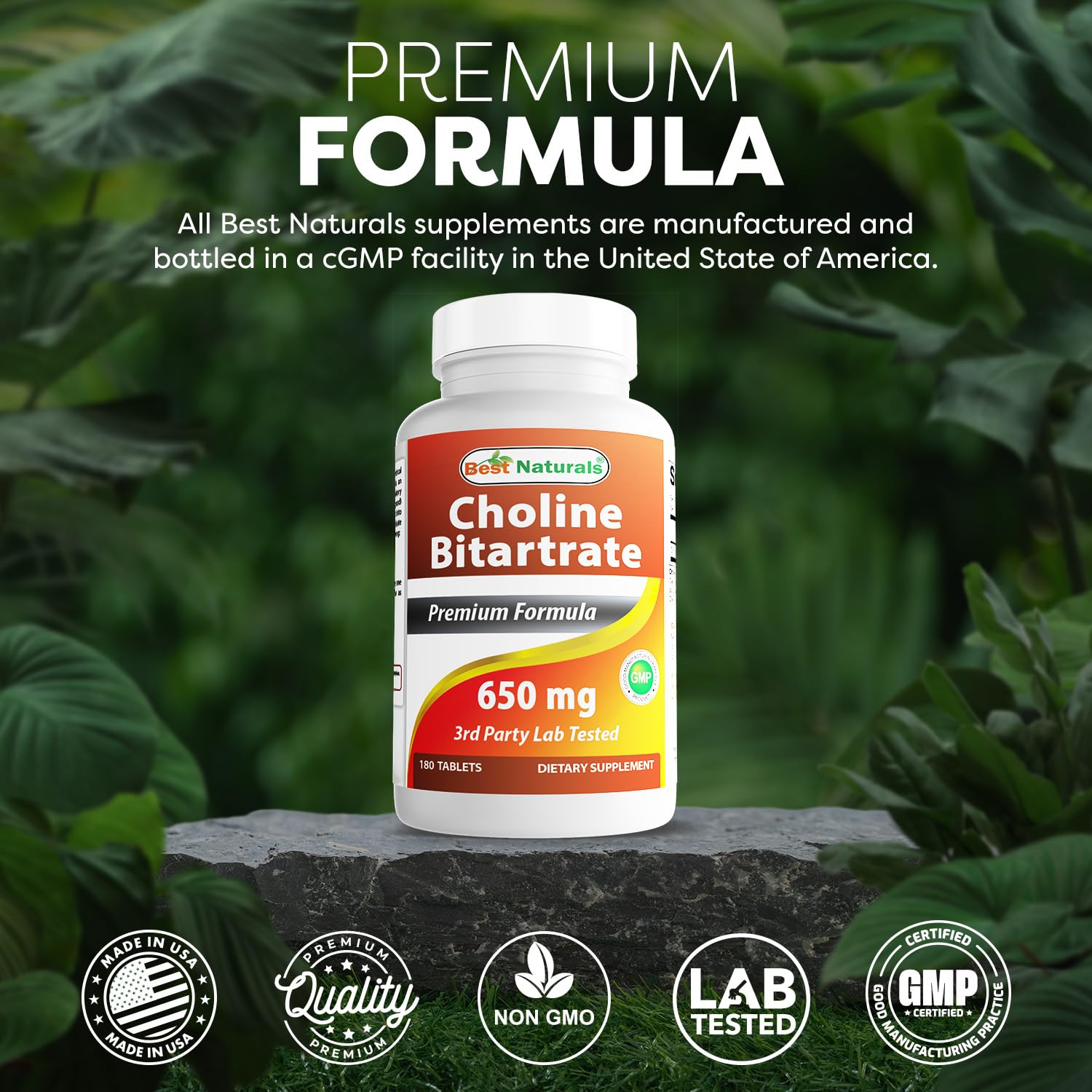 High potency choline bitartrate capsules