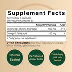High potency choline supplement