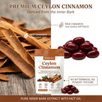 high potency cinnamon extract capsules