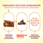 high potency cinnamon supplement