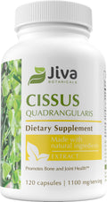 high potency cissus quadrangularis extract