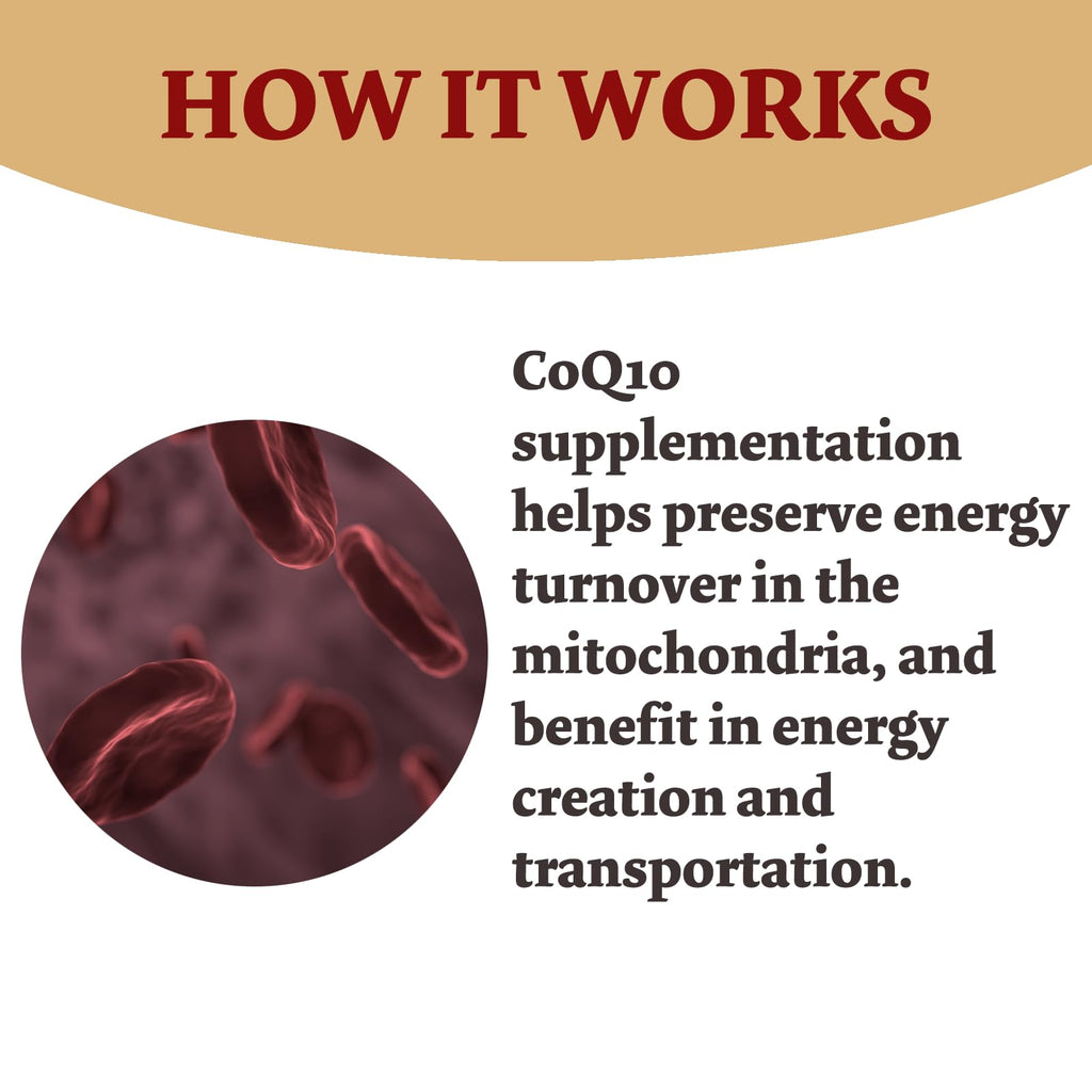 high potency coq10 for antioxidant protection