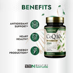 high potency coq10 for antioxidant protection