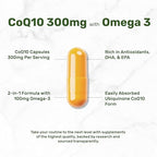 high potency CoQ10 for energy