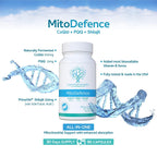 high potency CoQ10 for energy