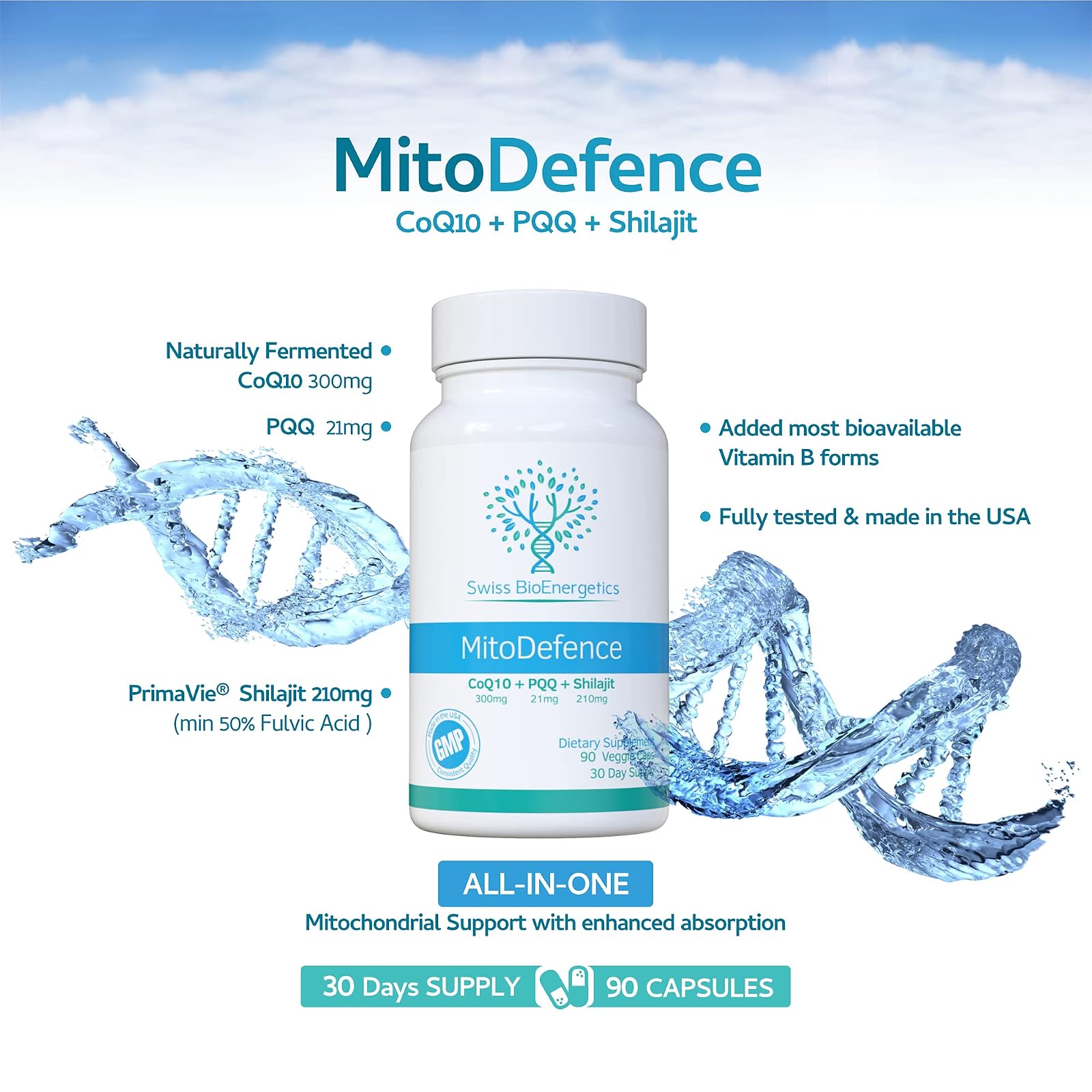 high potency CoQ10 for energy