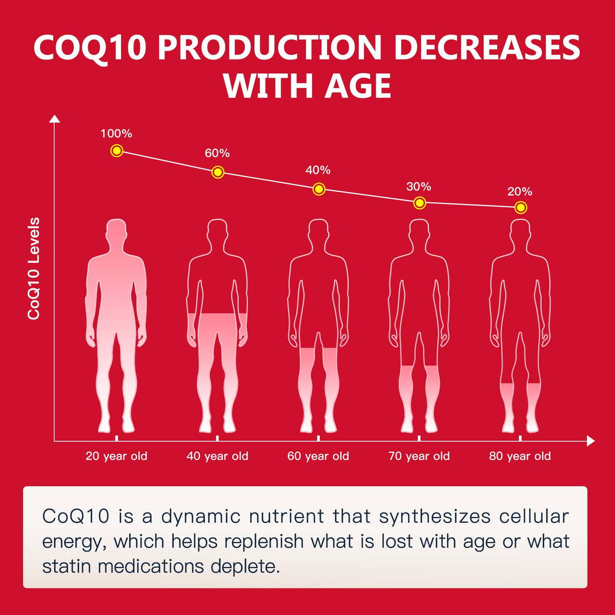 high potency coq10 for vitality
