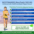 High potency coq10 supplement for energy