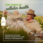 high potency coq10 supplement