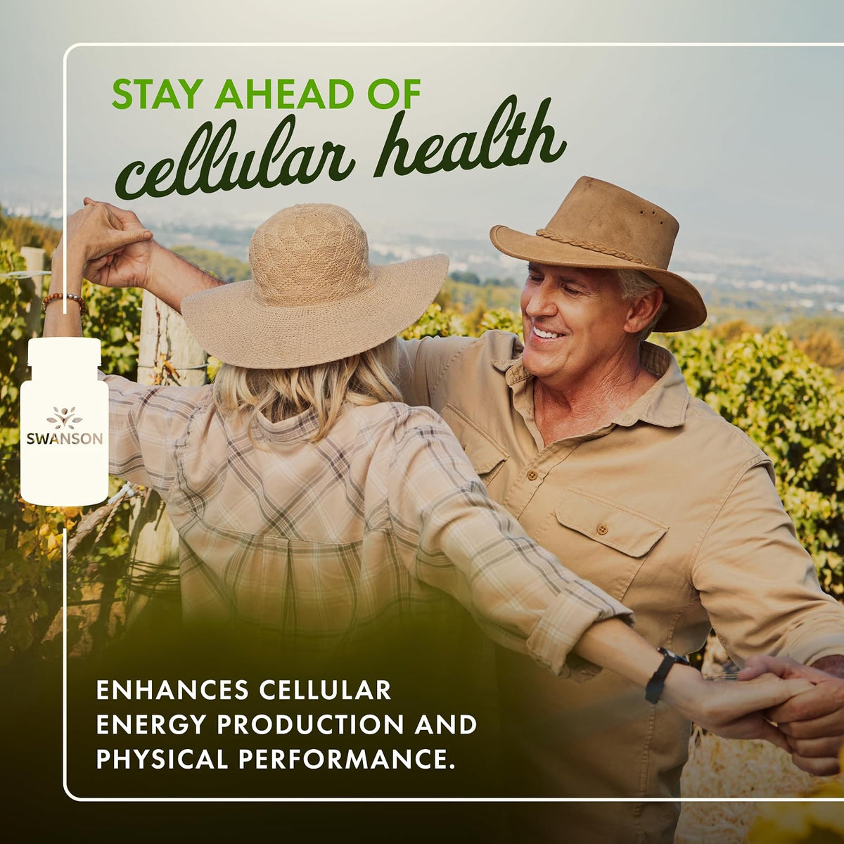 high potency coq10 supplement