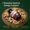 high potency CoQ10 supplement
