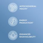 high potency coq10 supplement
