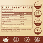 high potency CoQ10 supplement