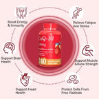 high potency CoQ10 supplement