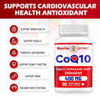 high potency CoQ10 supplement