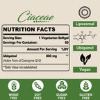 high potency coq10 supplement
