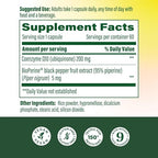 high potency CoQ10 supplement