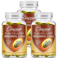 high potency coq10 ubiquinol softgels