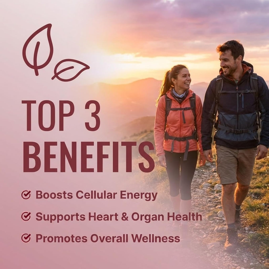 high potency coq10 ubiquinol supplement
