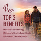 high potency coq10 ubiquinol supplement