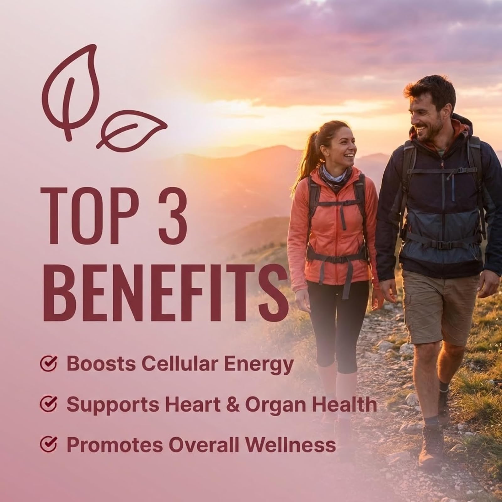 high potency coq10 ubiquinol supplement