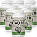 high potency coq10 ubiquinol supplement