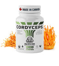 high potency cordyceps mushrooms supplement