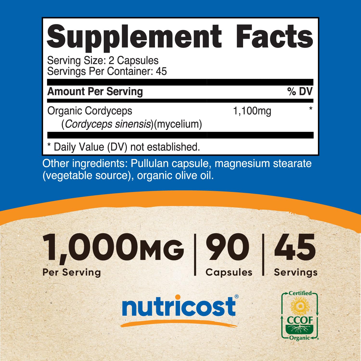 High potency cordyceps supplement
